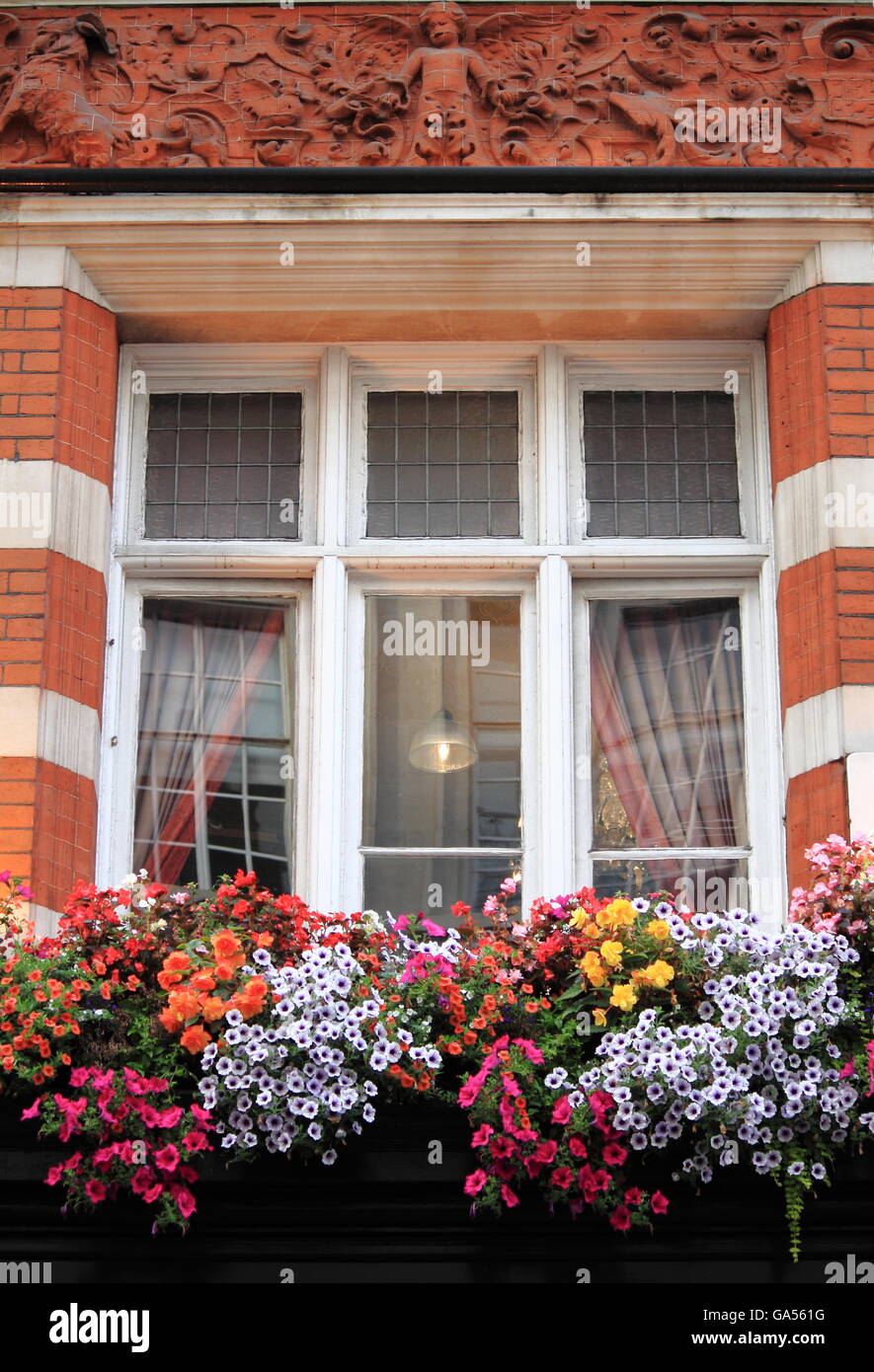 Renaissance window with colourful flowers Stock Photo - Alamy