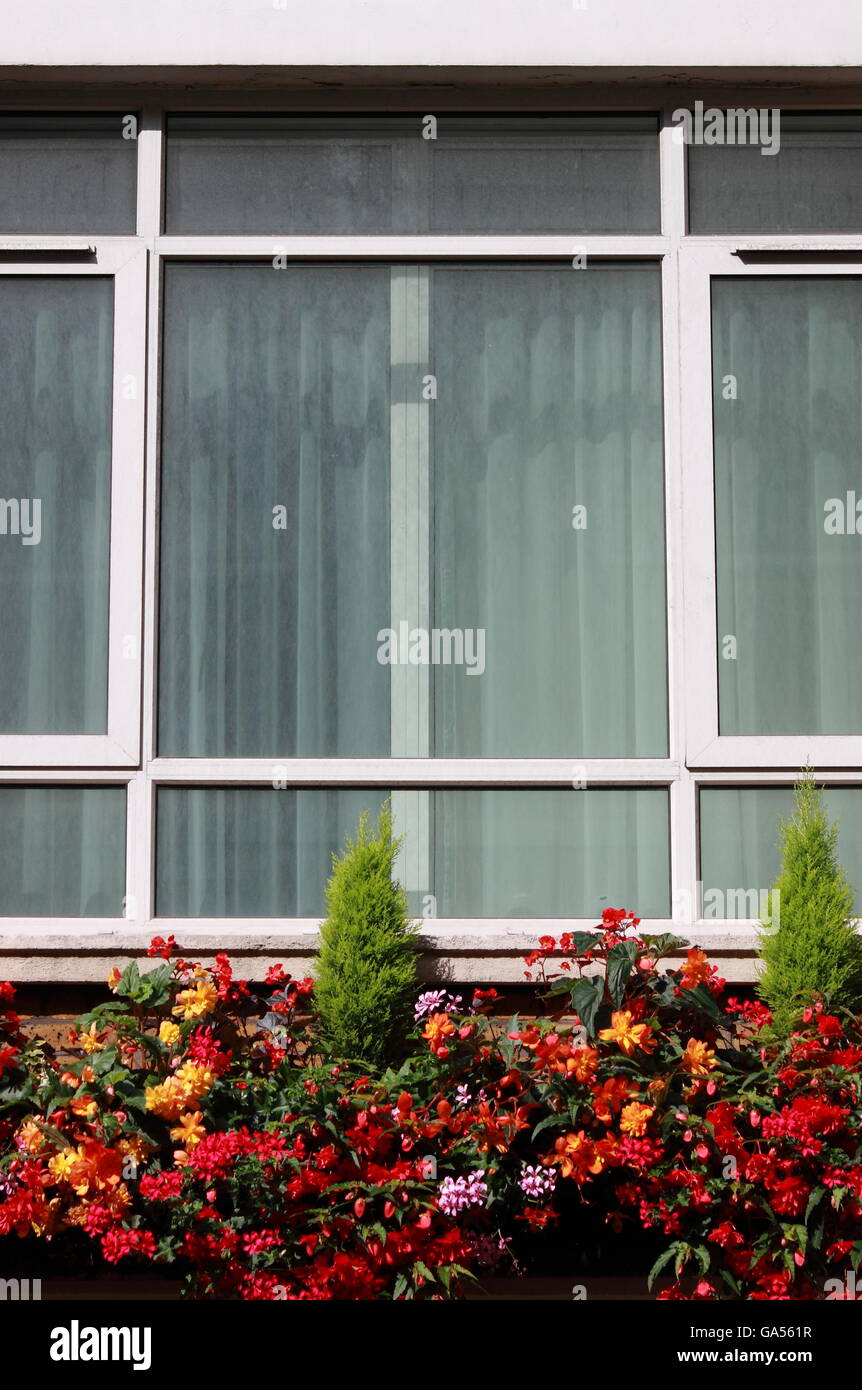 Modern window hi-res stock photography and images - Alamy