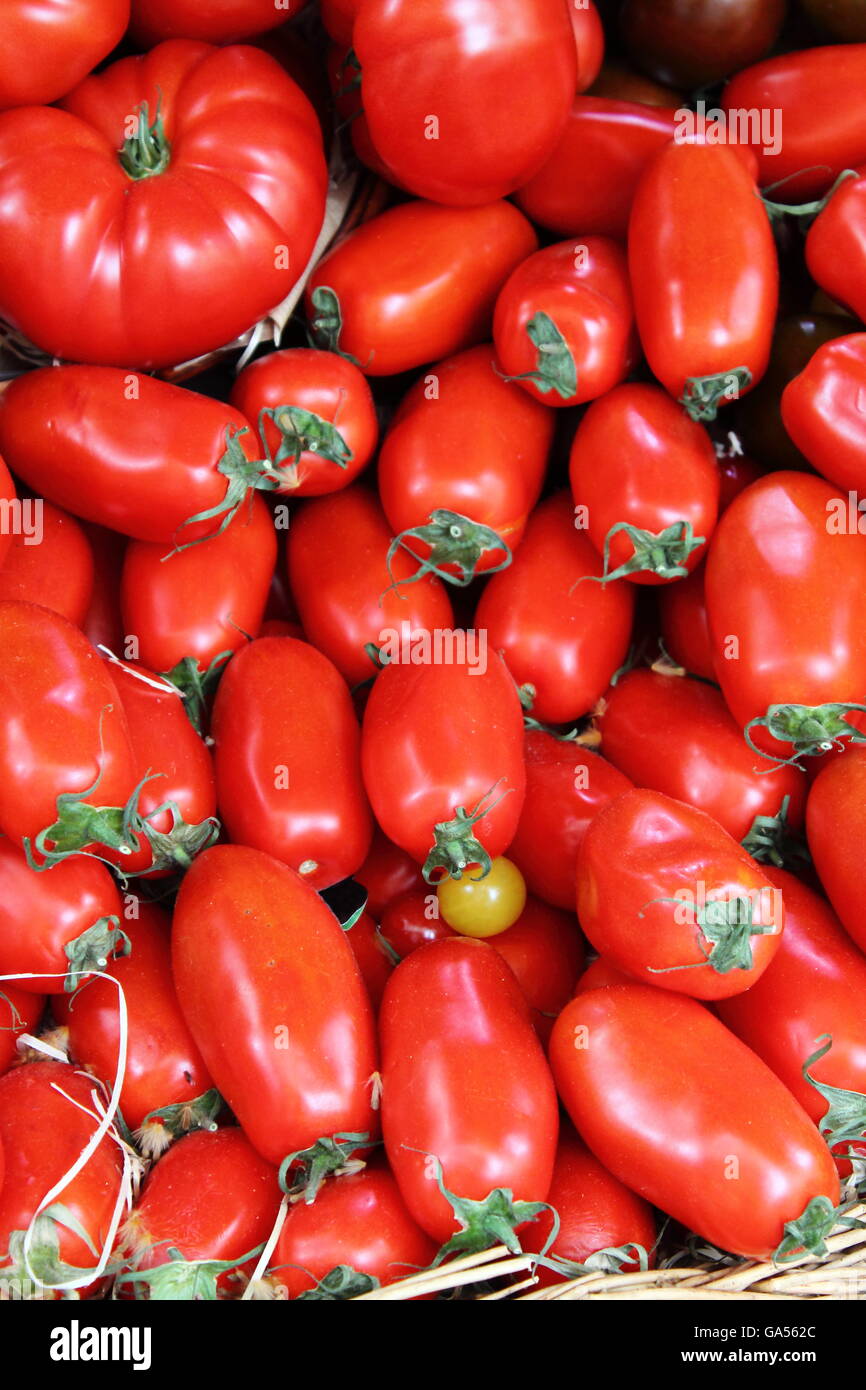 Tomatoes for sale at the market stall hi-res stock photography and ...