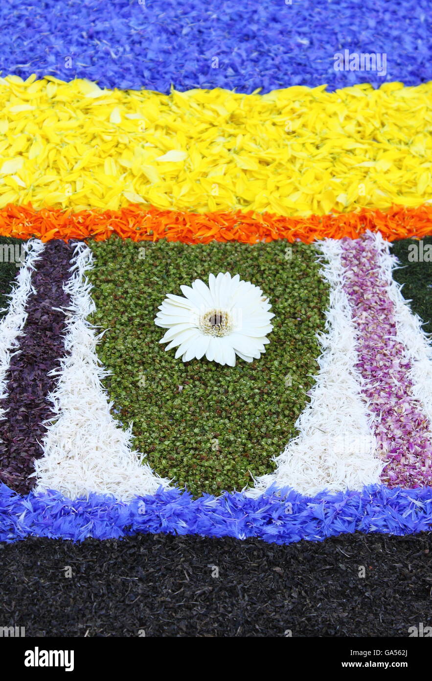 Multicolored floral carpet made with flower petals Stock Photo - Alamy