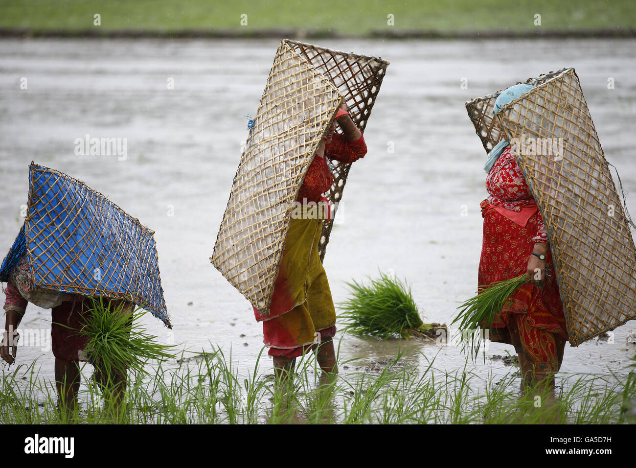 Lalitpur, Nepal. 3rd July, 2016. Nepalese farmers wearing a traditional ...