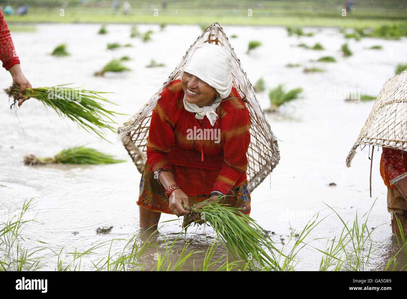 Lalitpur, Nepal. 3rd July, 2016. A Nepalese farmer wearing a ...