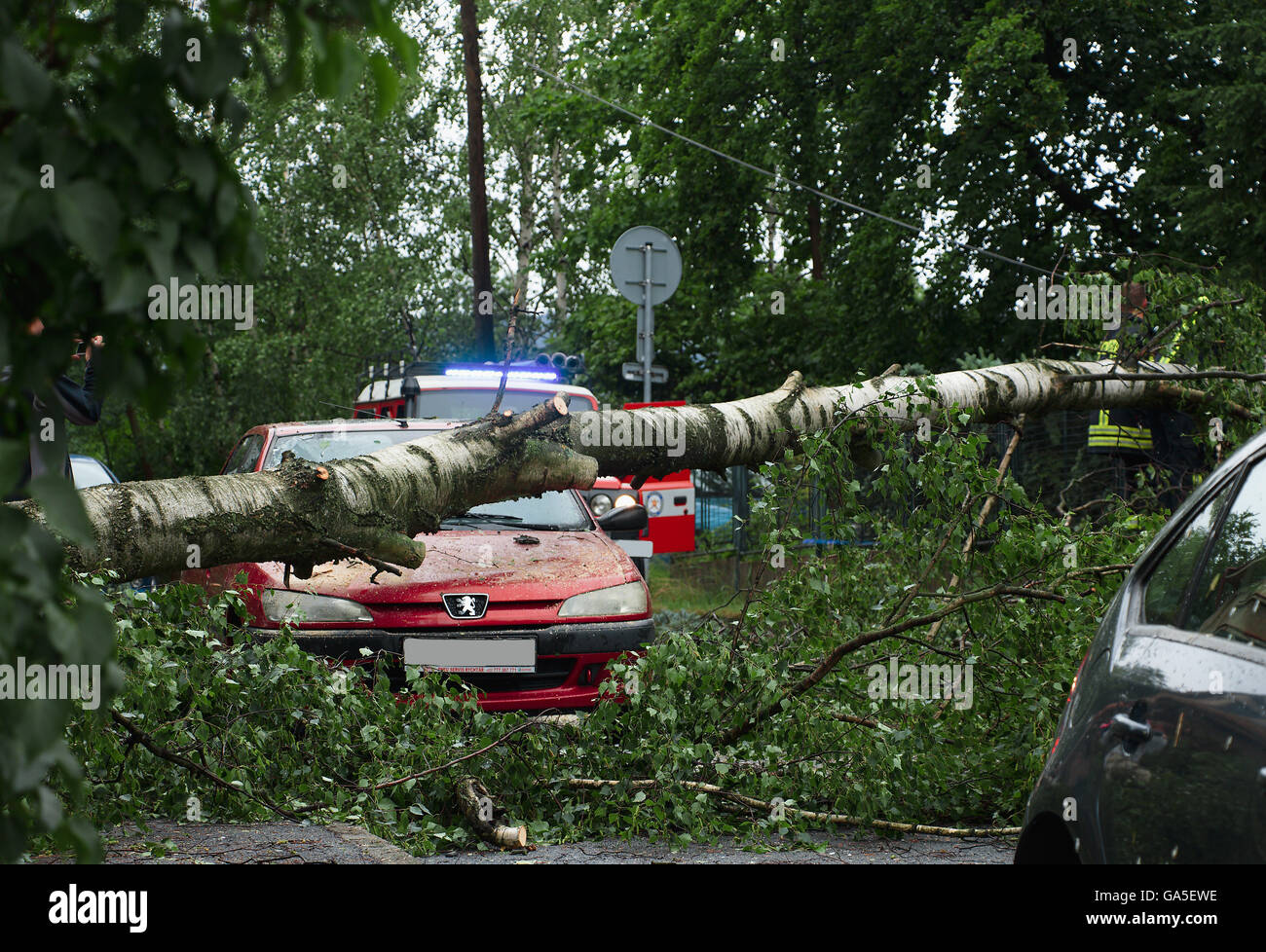 tree fell between the cars in the background flashing fire truck Stock ...