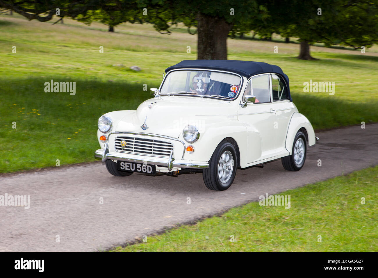 1966 Morris Minor, at Leighton Hall Classic Car Rally, Carnforth ...
