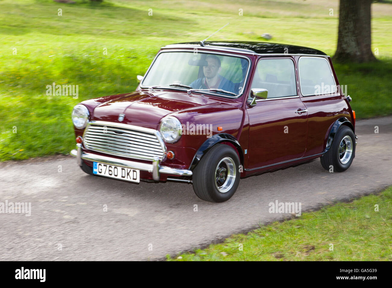 1989 austin mini thirty at Leighton Hall Classic Car Rally, Carnforth ...
