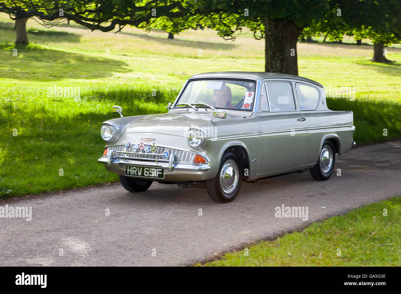 Ford Anglia Super at Leighton Hall Classic Car Rally, Carnforth ...