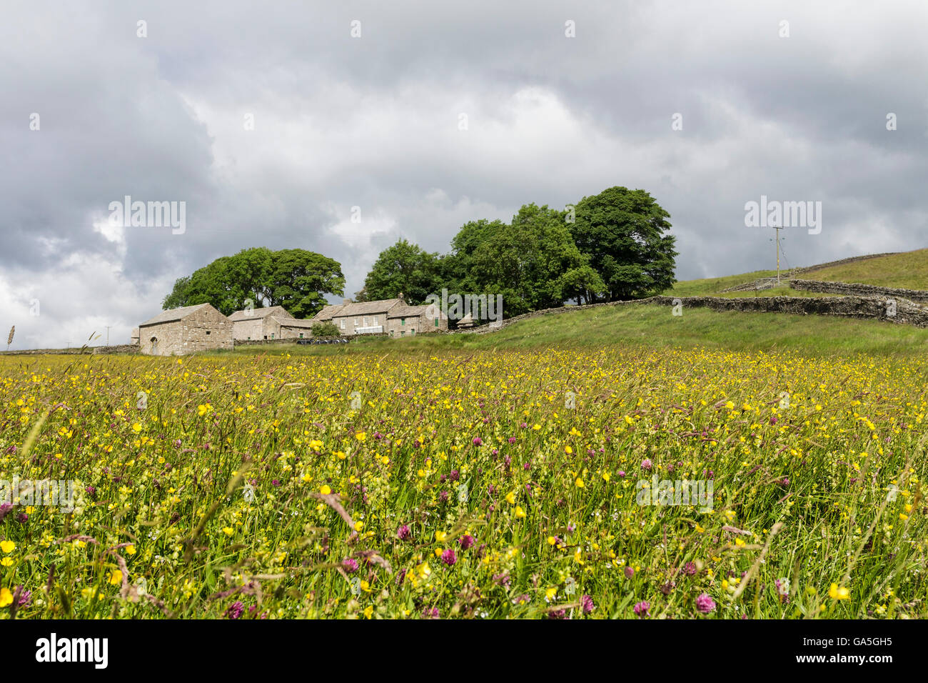 Hannah hauxwell hi-res stock photography and images - Alamy