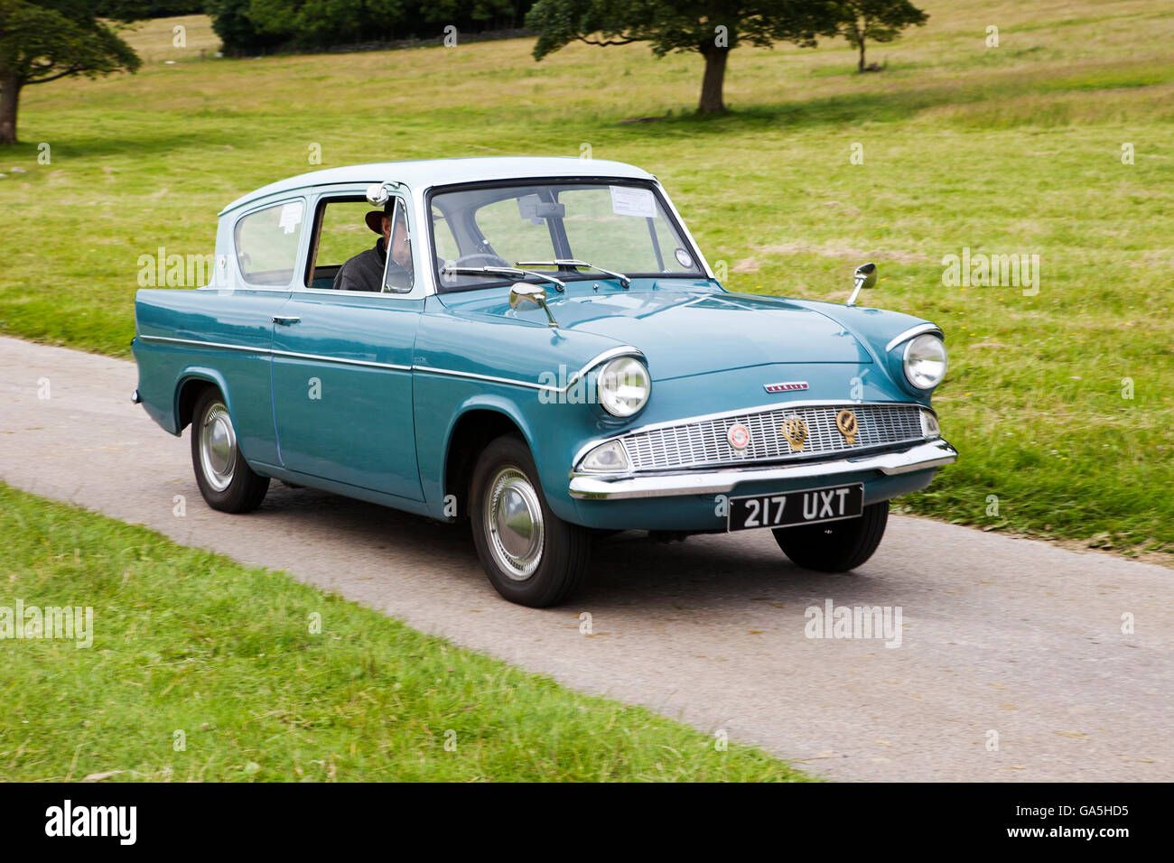 Ford Anglia at Leighton Hall Classic Car Rally, Carnforth, Lancashire ...