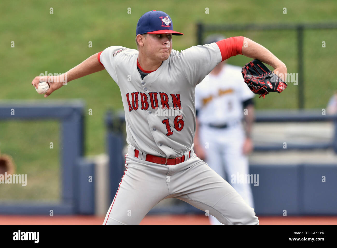 Morgantown, West Virginia, USA. 3rd July, 2016. Auburn Doubledays ... Morgantown, West Virginia, USA. 3rd July, 2016. Auburn Doubledays ...
