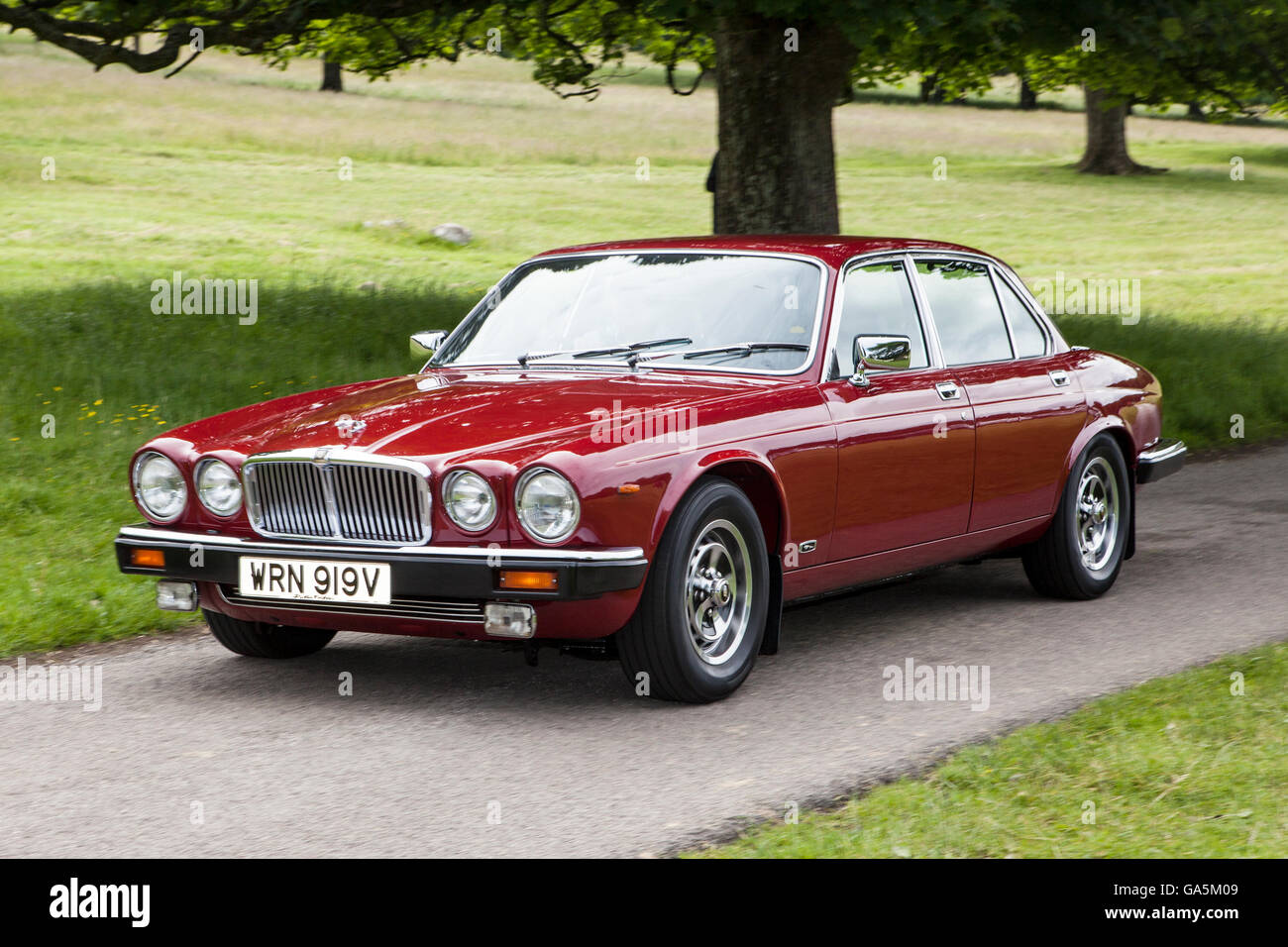 1979 70s seventies red Jaguar 4.2 litre, XJ6, Saloon Petrol 4235 cc at ...