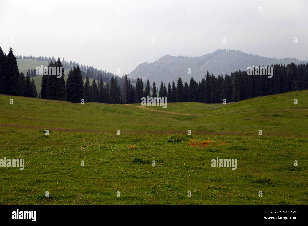 Qitai, Qitai, CHN. 1st July, 2016. Qitai, China - July 1 2016 ...