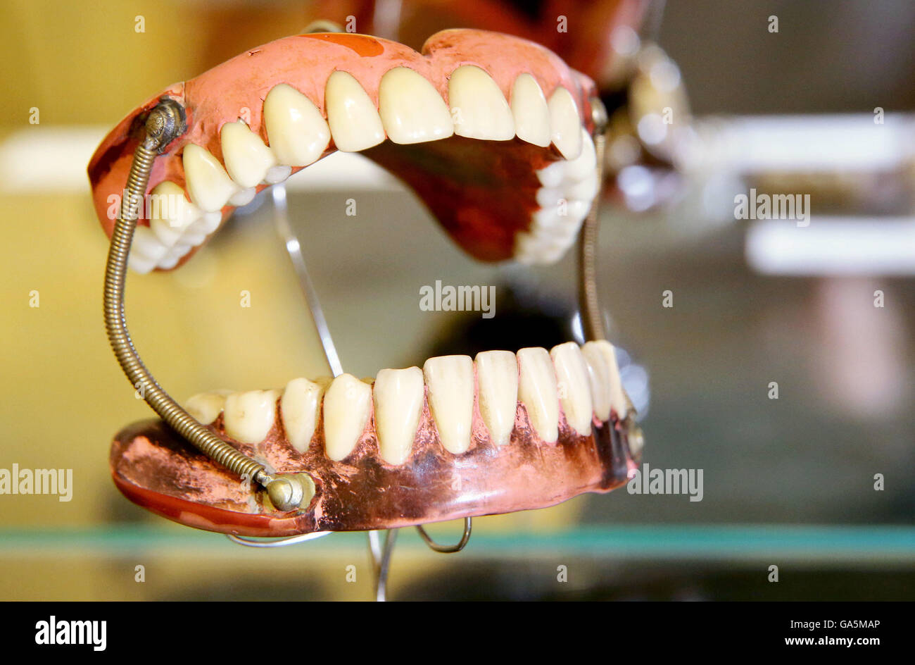Zschadrass, Germany. 23rd June, 2016. One of the first rubber dentures ...