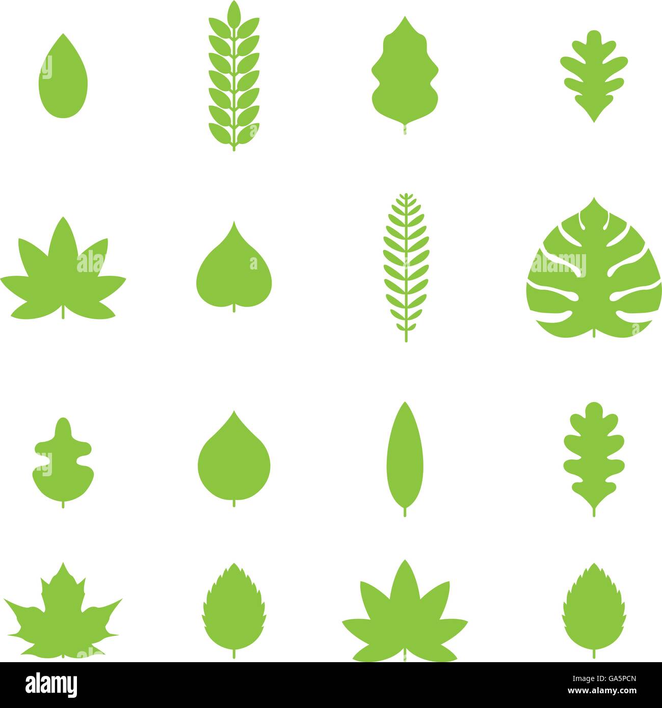 Leaf Shapes Vector