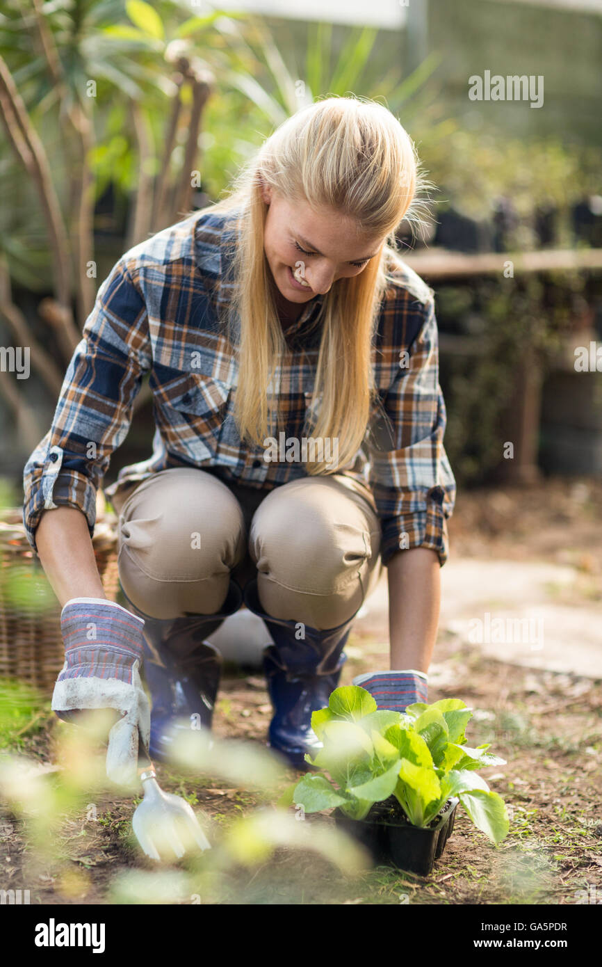 Happy female gardener planting outside greenhouse Stock Photo - Alamy