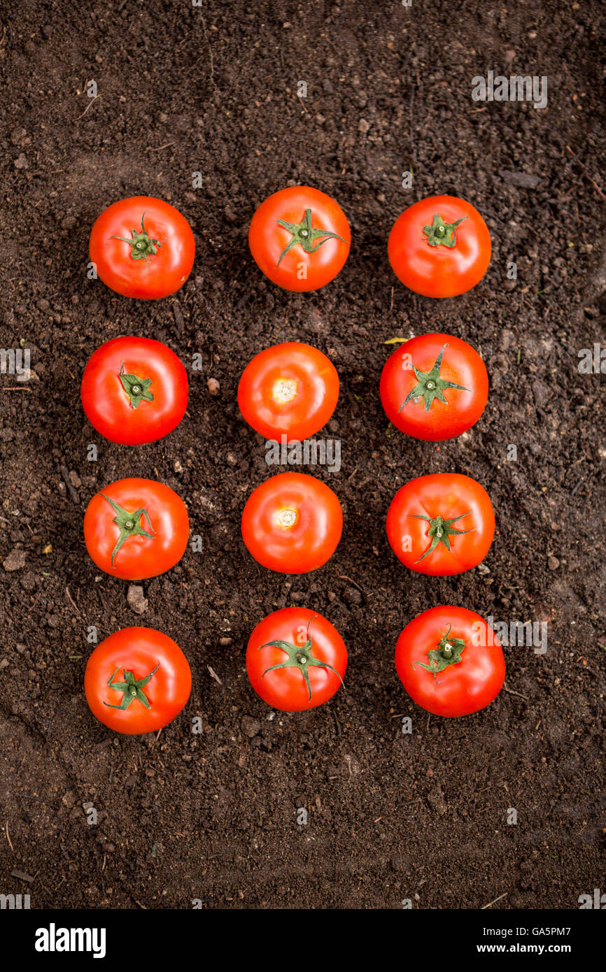 People overhead pattern hi-res stock photography and images - Alamy