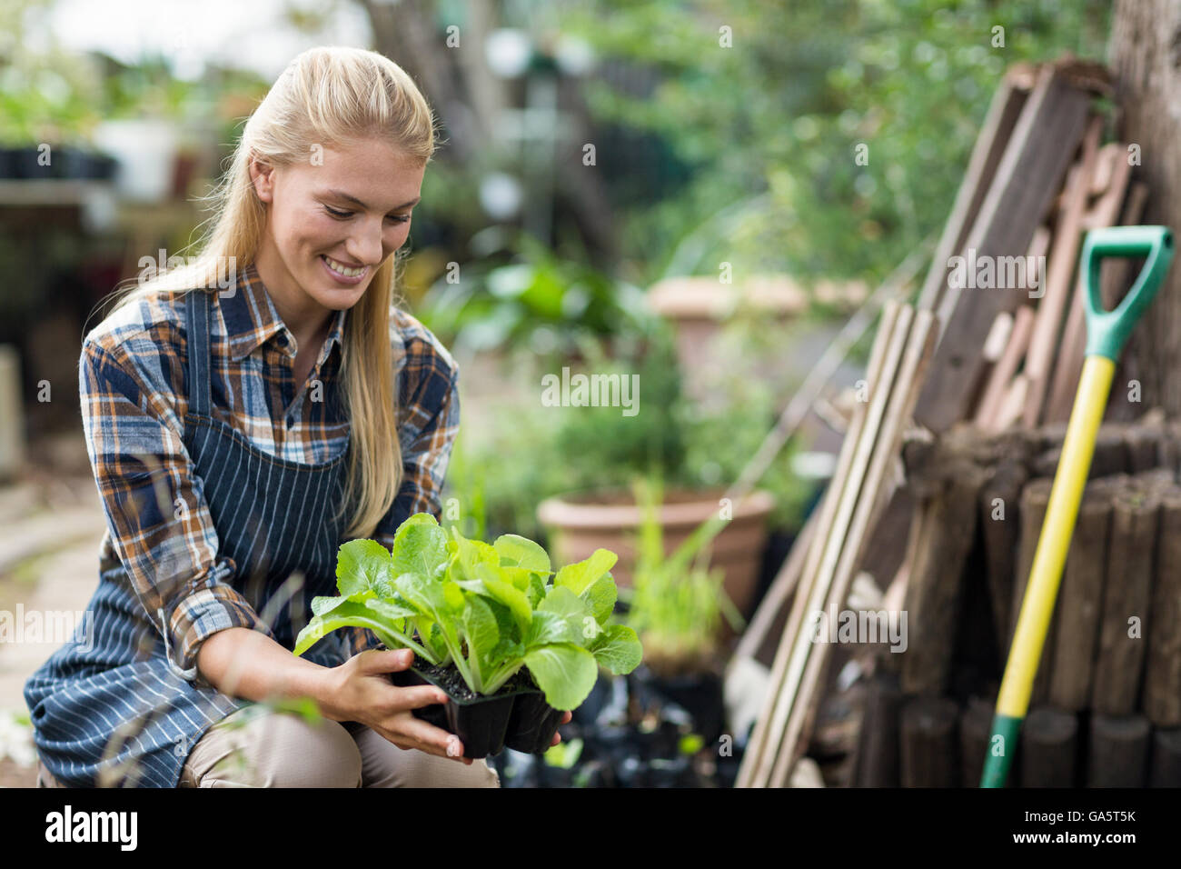 Gardener holding potted plant hi-res stock photography and images - Alamy