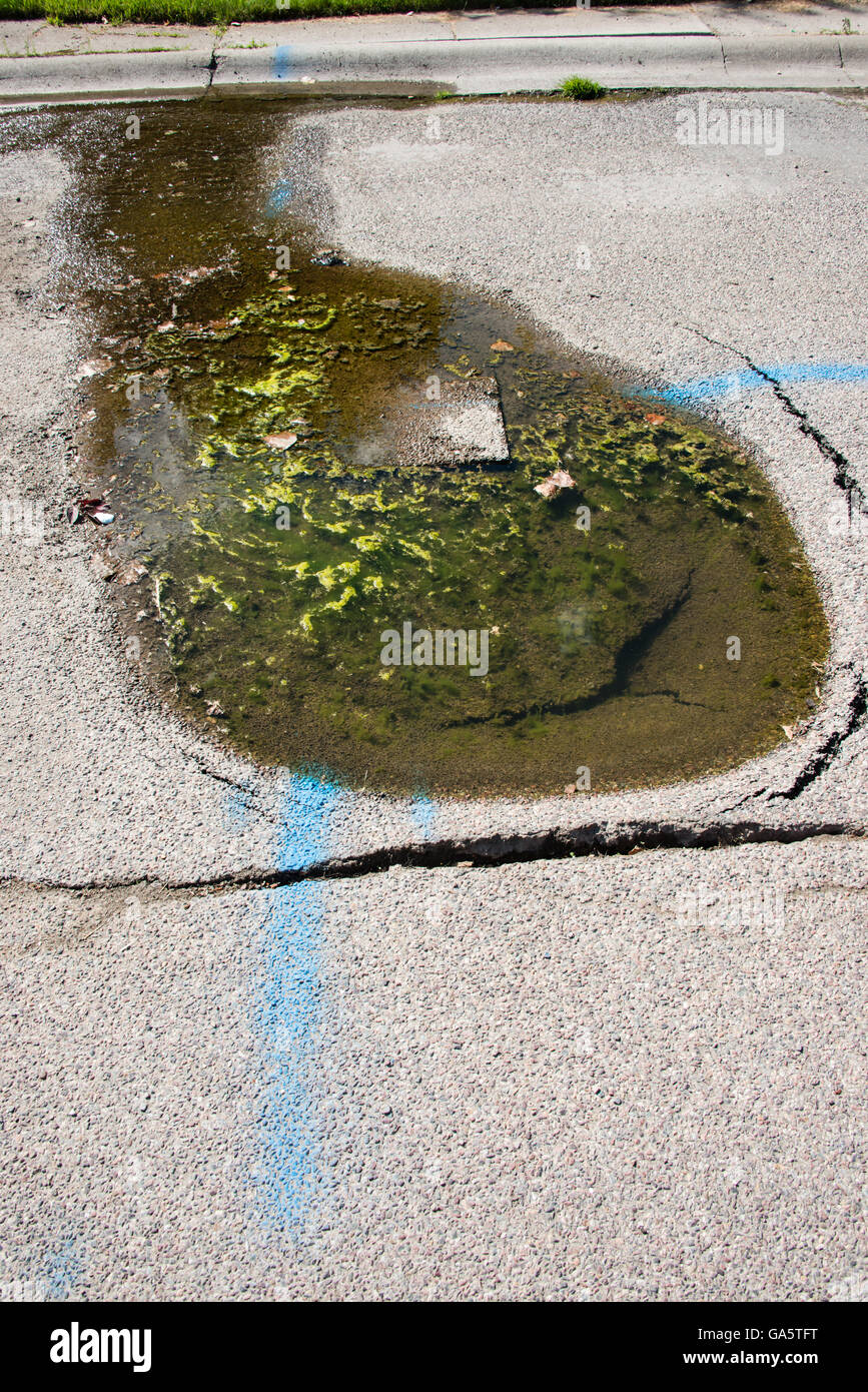Water Leak in the street Stock Photo - Alamy