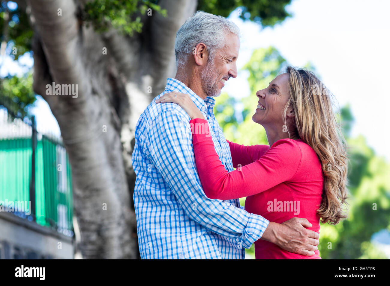 Romantic mature couple hugging against tree Stock Photo - Alamy