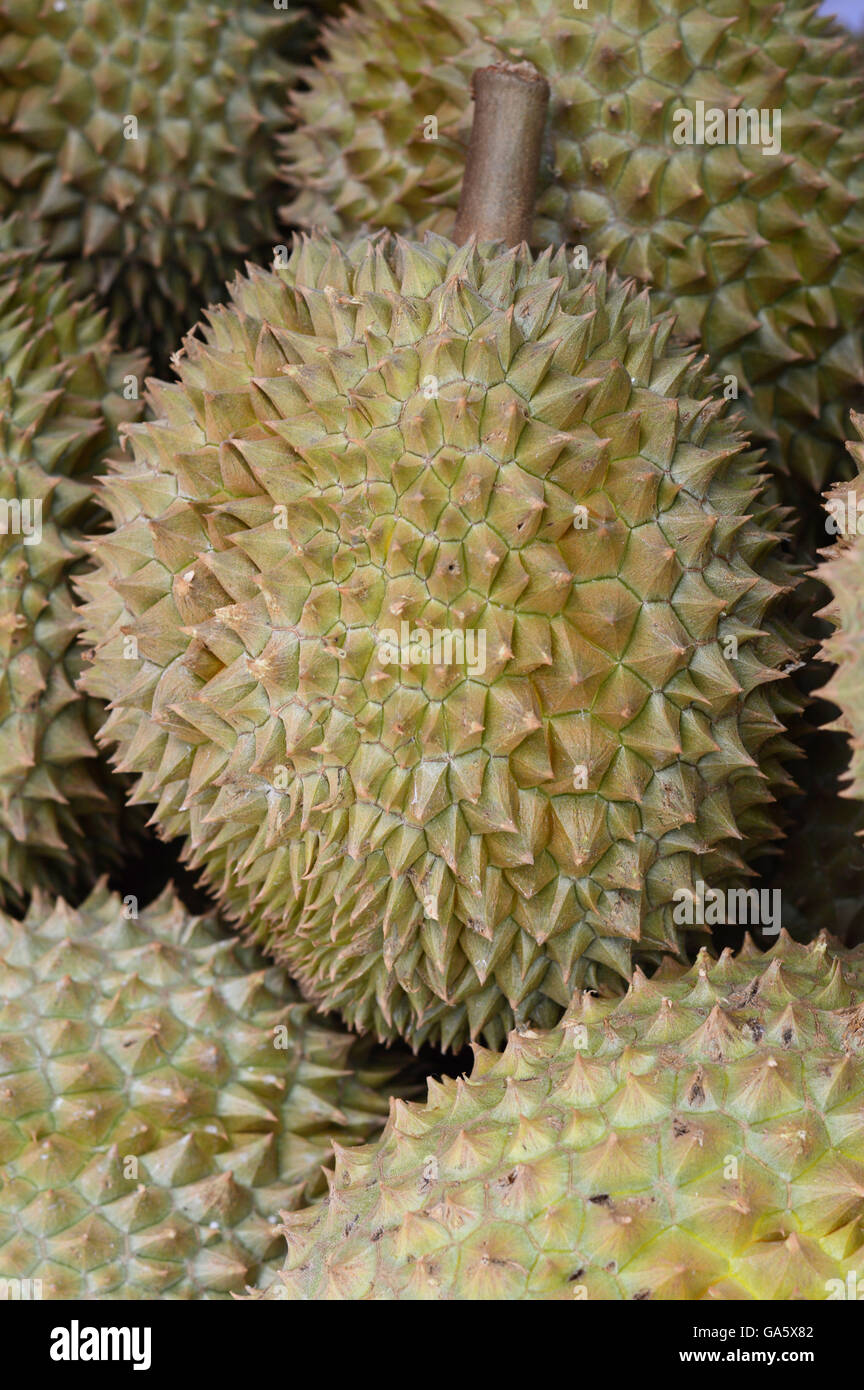 King of the Fruits Stock Photo - Alamy