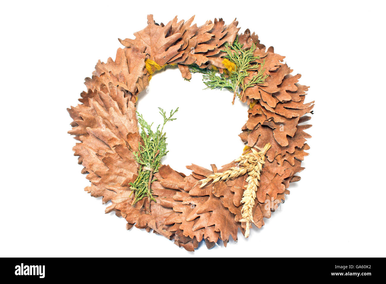 Oak wreath hi-res stock photography and images - Alamy