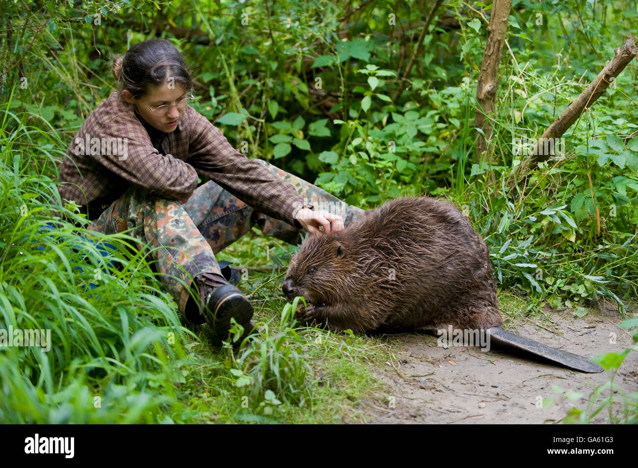 Woman andeuropean beaver hi-res stock photography and images - Alamy