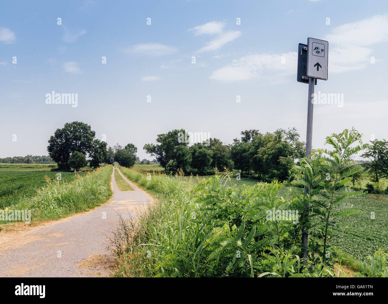 The Po valley and its cycling paths are a popular destination. Here a ...