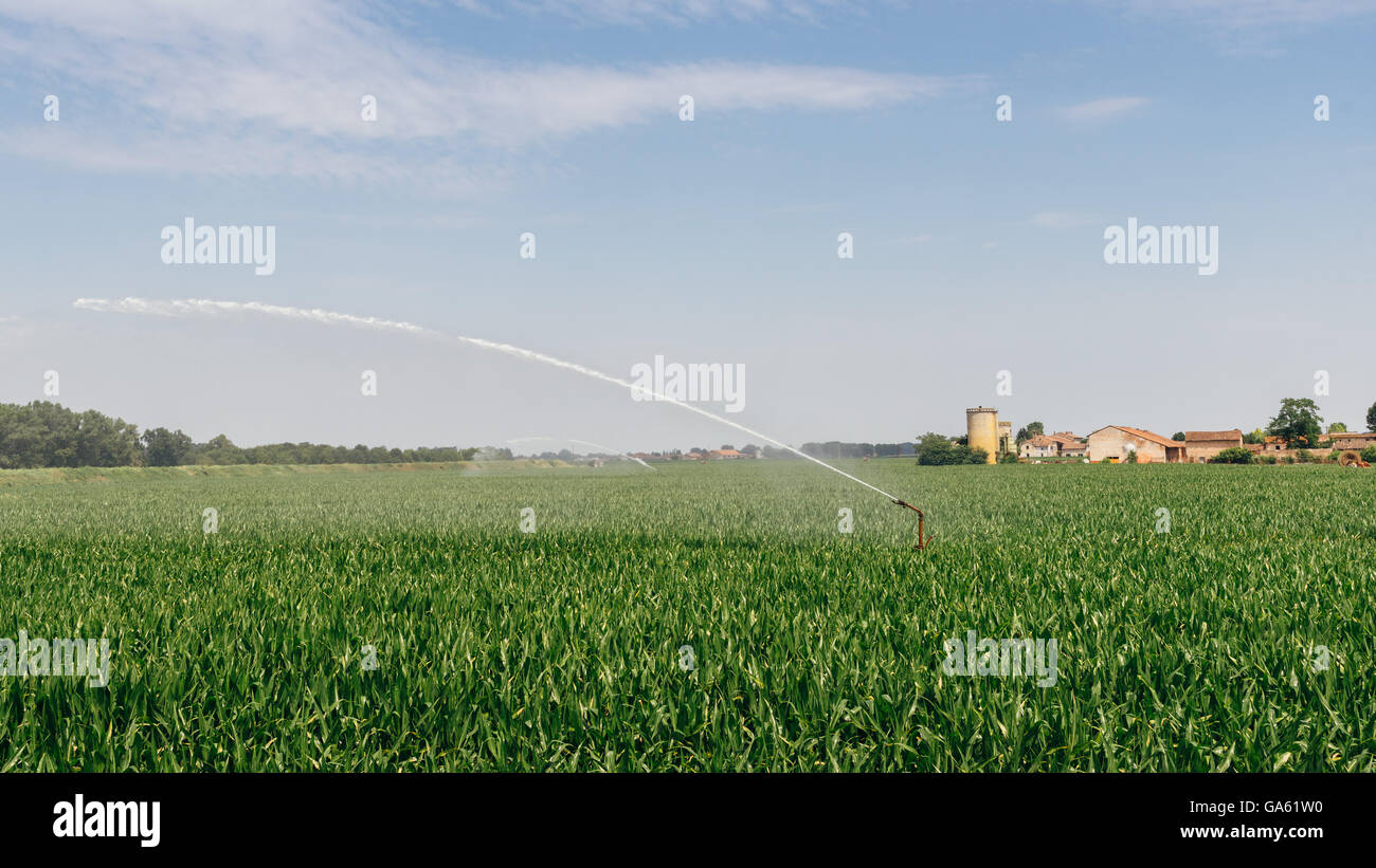 Irrigation system pumping water on a wheat field, Italy Stock Photo - Alamy
