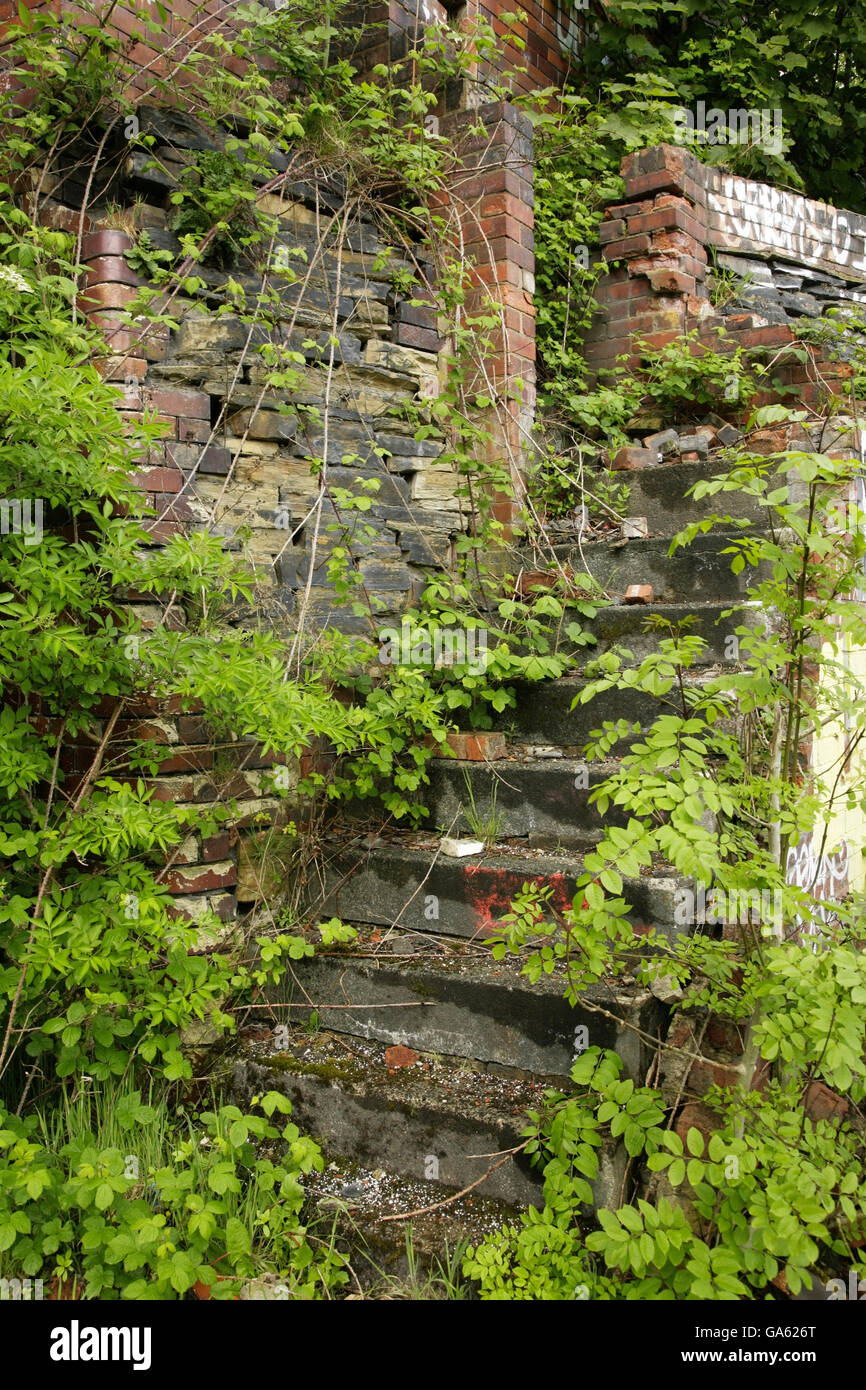 Overgrown steps next to abandoned industrial building Stock Photo - Alamy