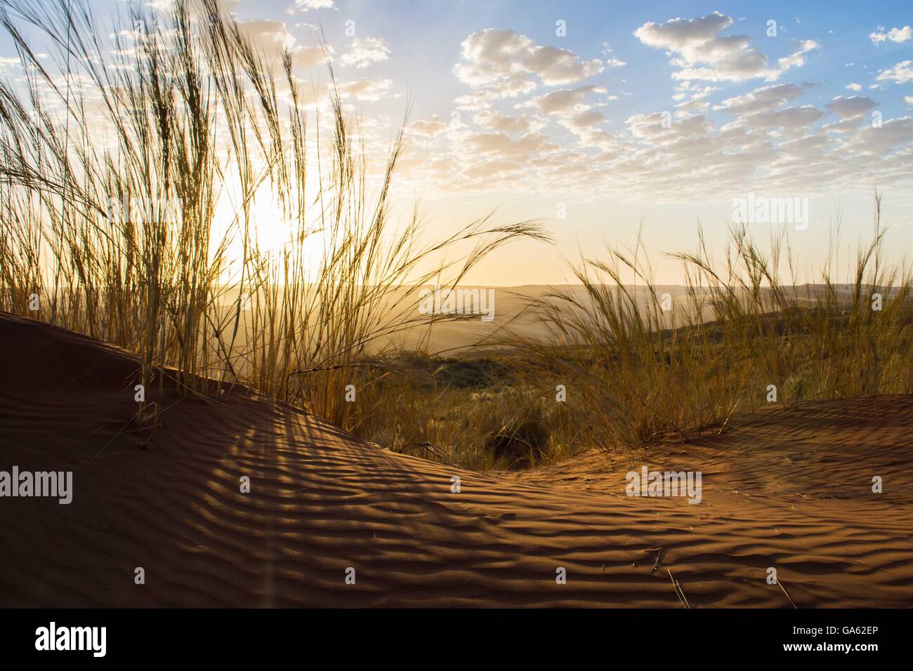 Namib dunes sunset picture with cloudy sky Stock Photo - Alamy
