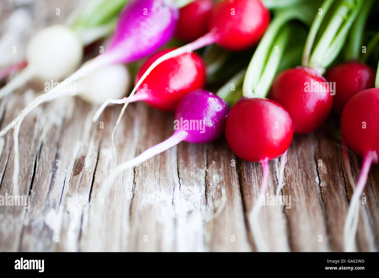 Bunch of fresh home grown radishes Stock Photo - Alamy