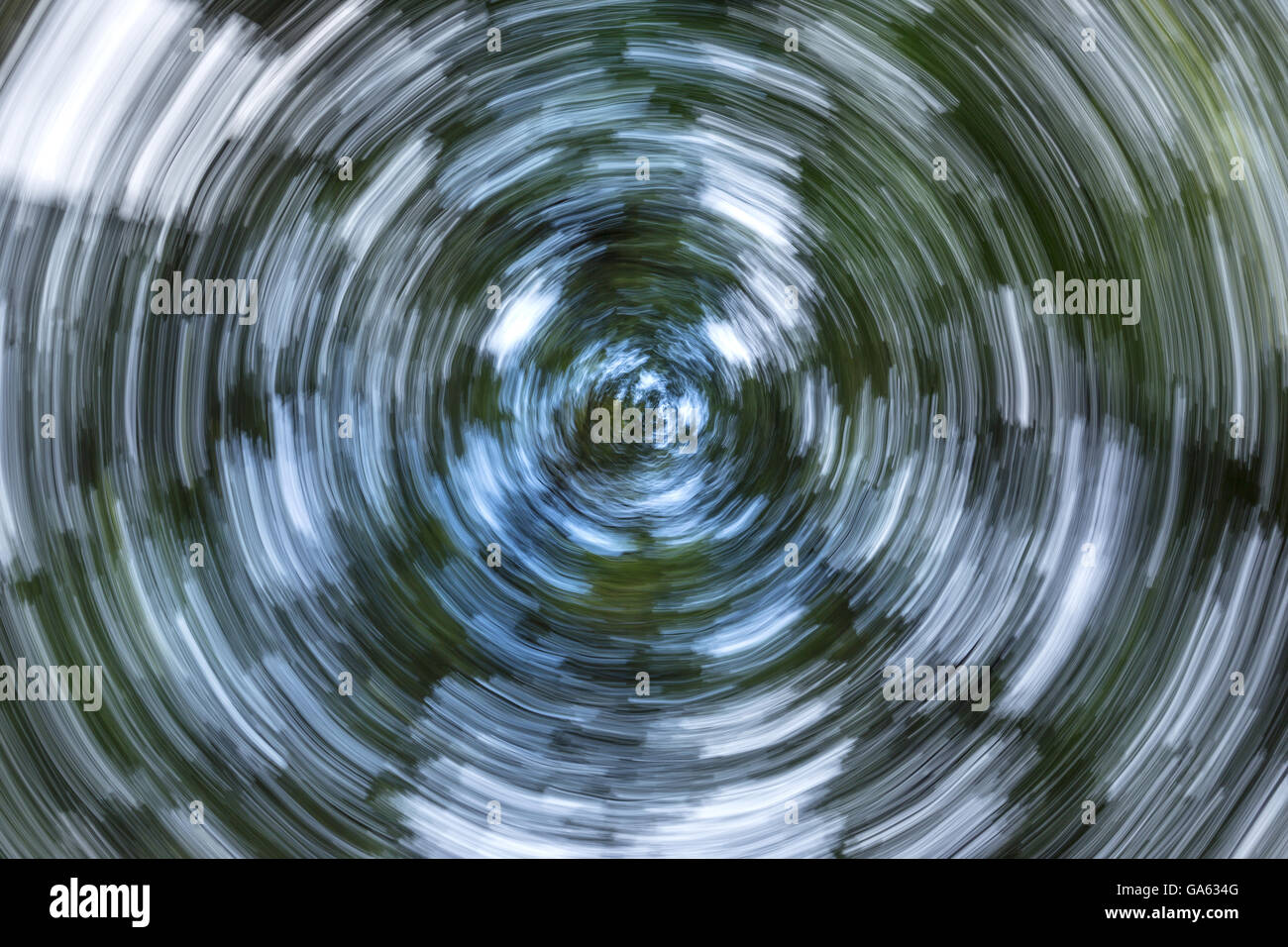 LOOKING UP AT SPINNING TALL PINE TREES Stock Photo - Alamy