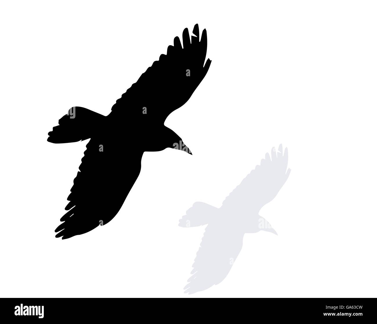 Hawk Silhouette Stock Photos & Hawk Silhouette Stock Images - Alamy