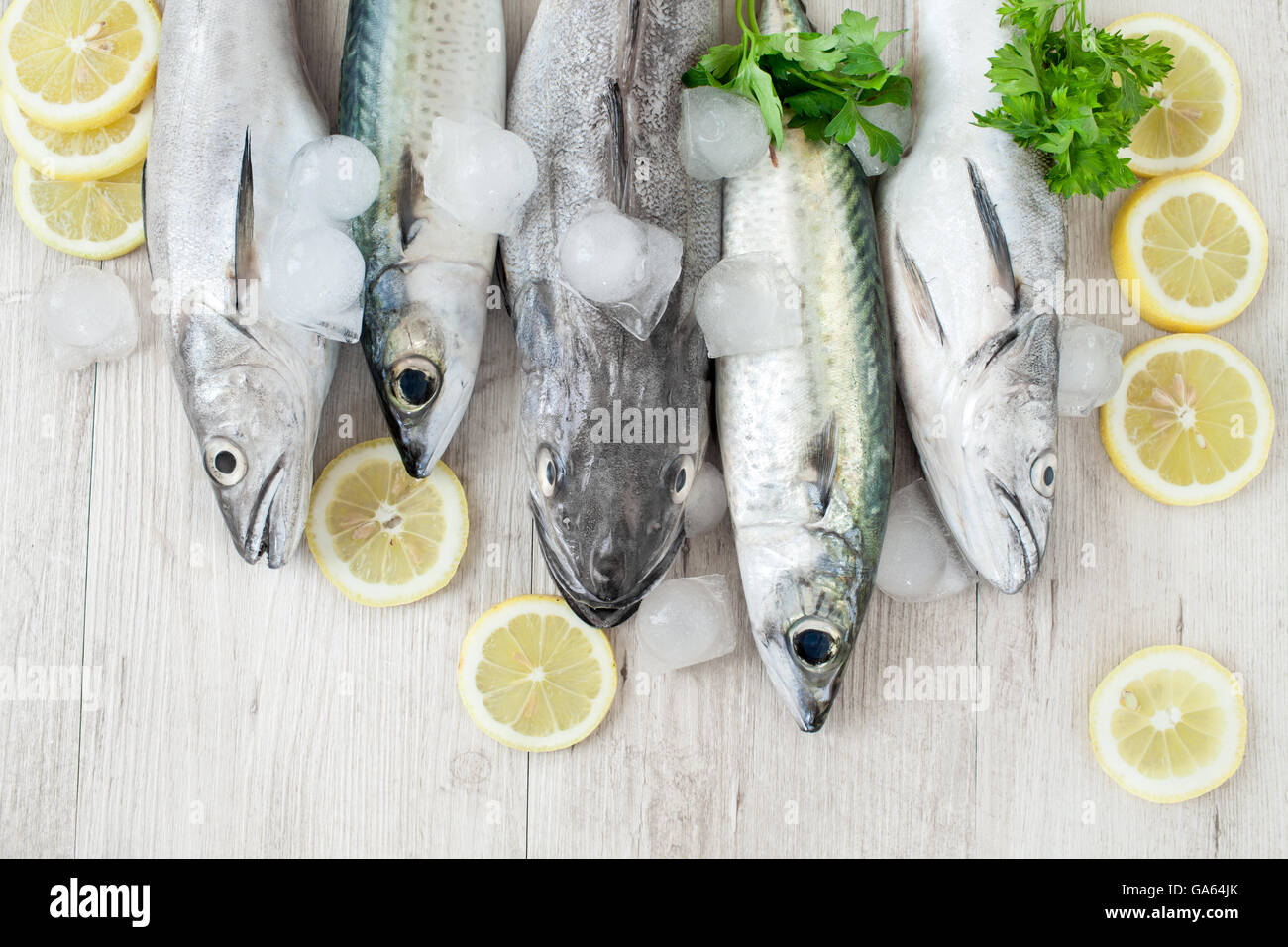 Silver flat fish sea hi-res stock photography and images - Alamy