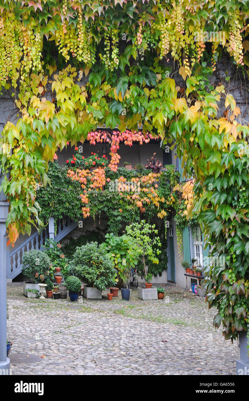 Basel tree hi-res stock photography and images - Alamy