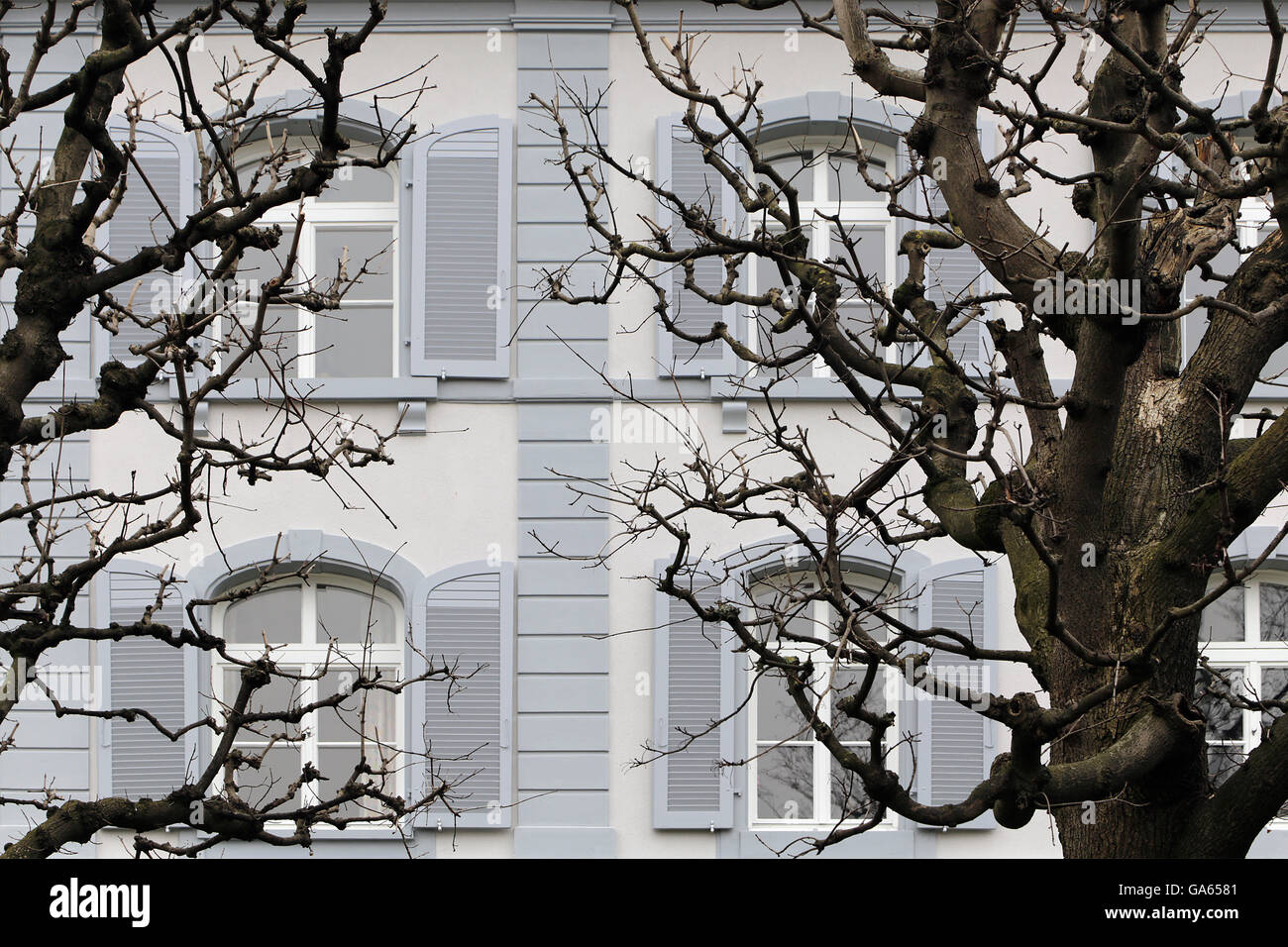 Windows, Trees, Winter, Autumn, Leaves, Building, Basel Stock Photo - Alamy
