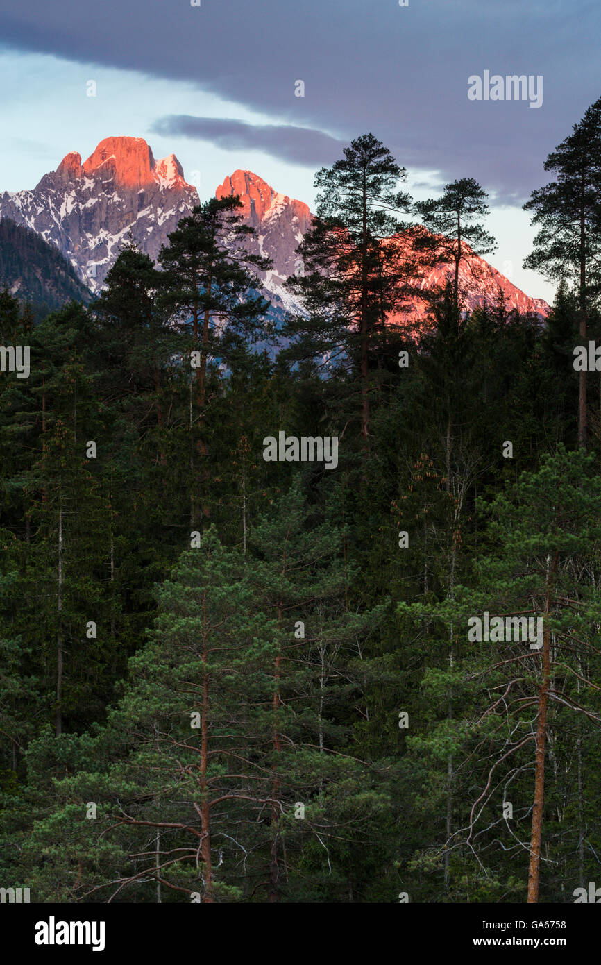 Admonter Reichenstein, Mountain, Forest, Trees, Sunrise, Nationalpark ...