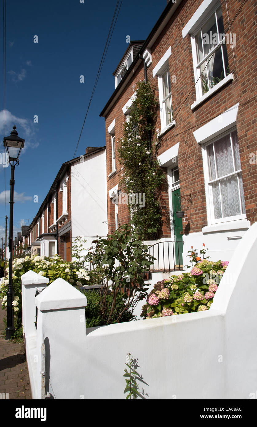 WINCHESTER HAMPSHIRE ENGLAND UK Terraced houses with small gardens in ...