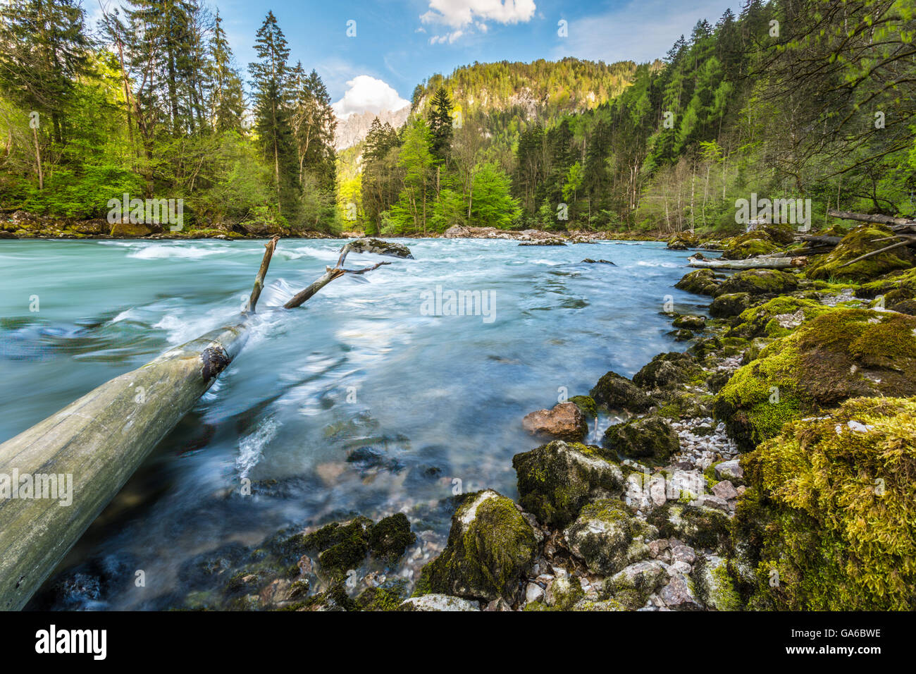 Enns River, Nationalpark Gesäuse, Styria, Austria Stock Photo - Alamy