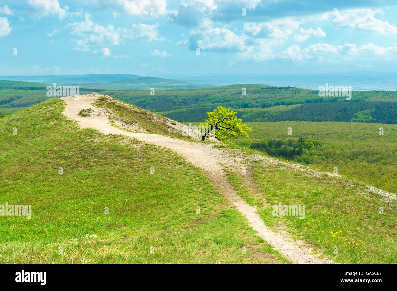 Top path hi-res stock photography and images - Alamy