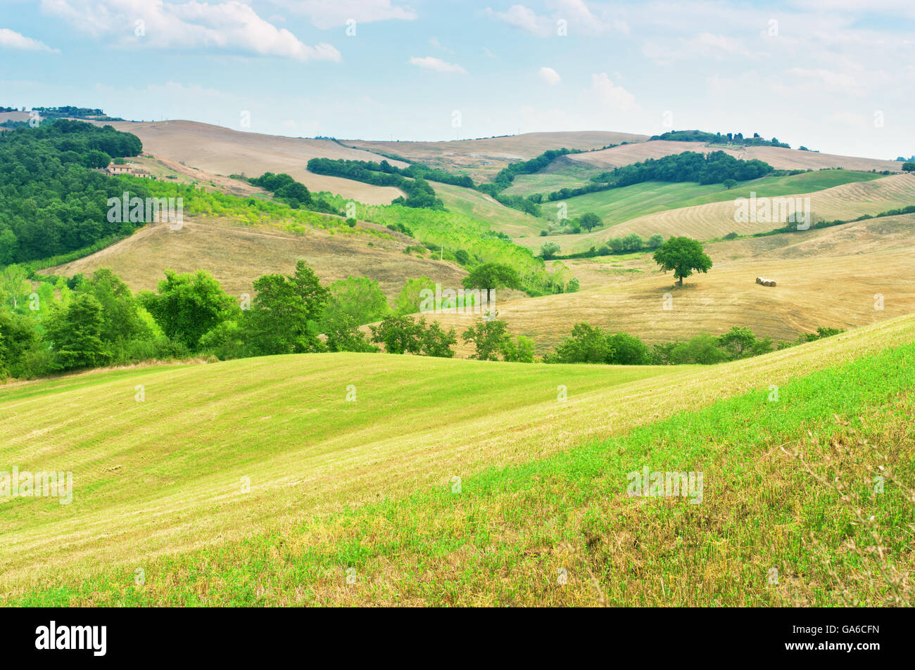 Rolling hills landscape in Tuscany, Italy Stock Photo - Alamy