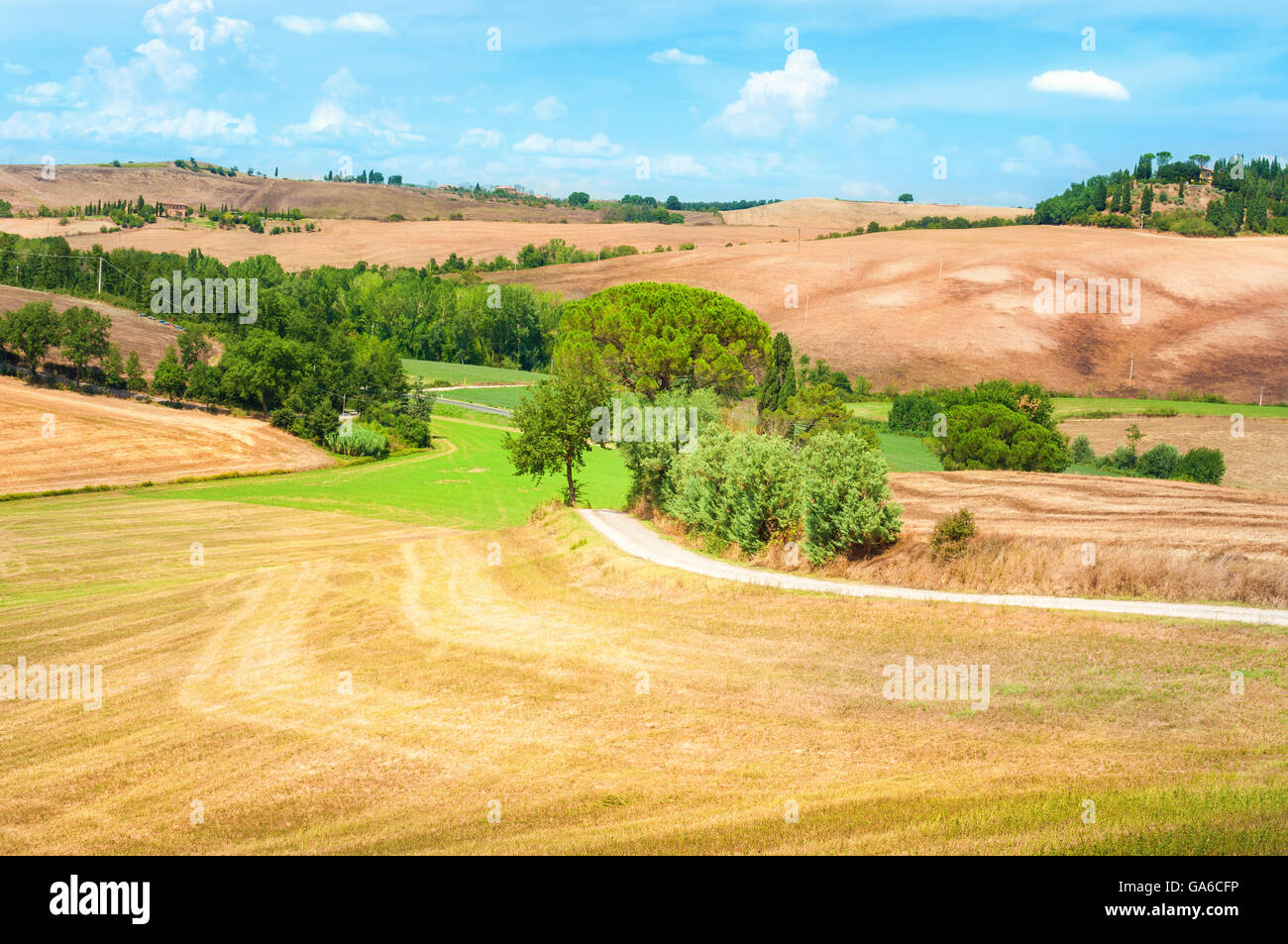 Rolling hills landscape in Tuscany, Italy Stock Photo - Alamy