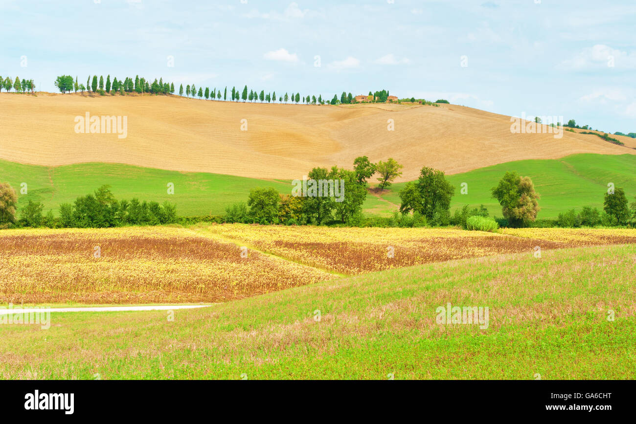 Nature countryside hi-res stock photography and images - Alamy