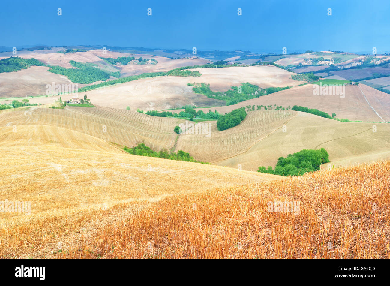 Rolling hills landscape in Tuscany, Italy Stock Photo - Alamy