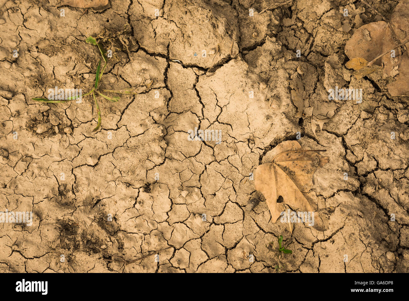 Desert land hi-res stock photography and images - Alamy