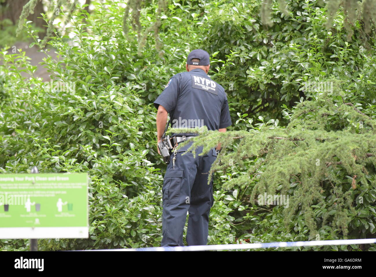 Fireworks residue hi-res stock photography and images - Alamy