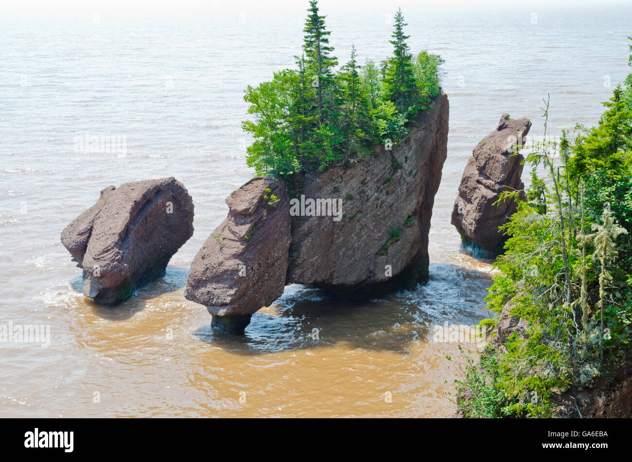 Bay of fundy high tide hi-res stock photography and images - Alamy