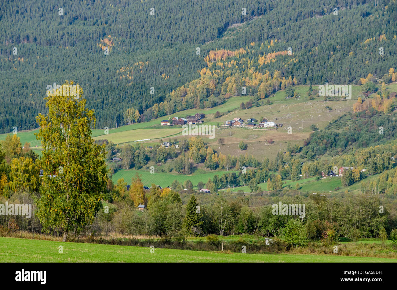 View of the mountain in fall time. Norway Stock Photo - Alamy