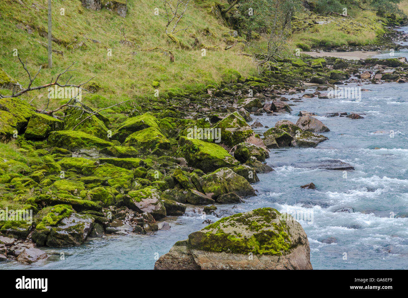 View of the mountain river. Norway Stock Photo - Alamy
