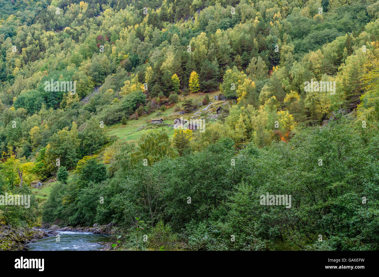 View of the mountain river. Norway Stock Photo - Alamy