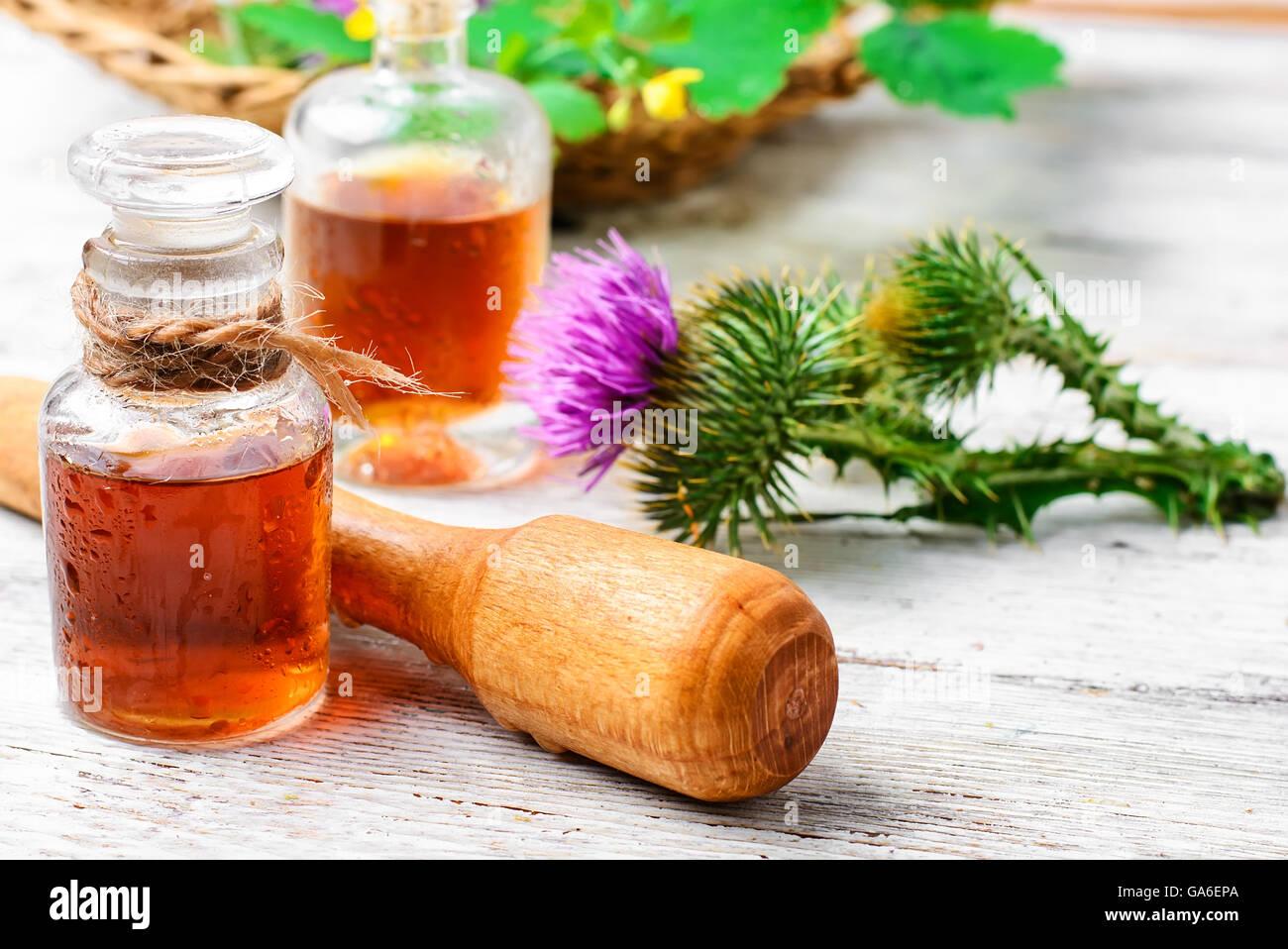 Buds wild plants burdock and burdocks medicinal tincture from it Stock ...